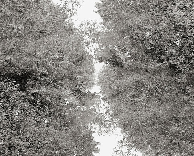 Canopy : CJ Heyliger - Formagramma