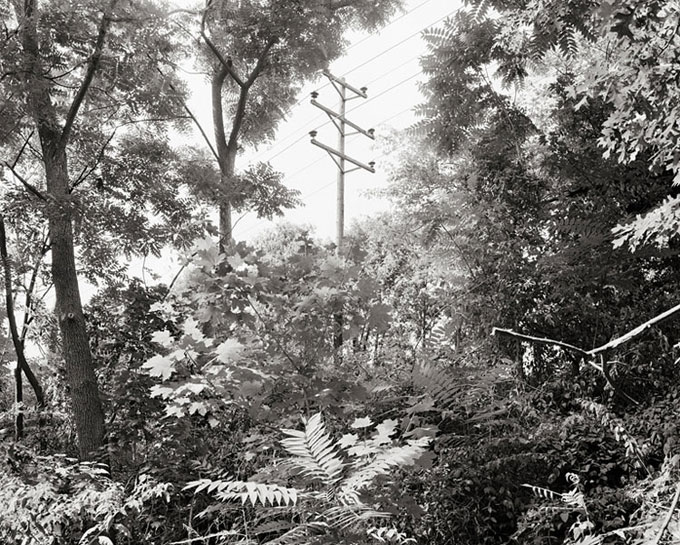 Canopy : CJ Heyliger - Formagramma